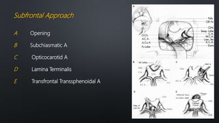 Anatomy of the Sellar Region (A.GH) | PPT