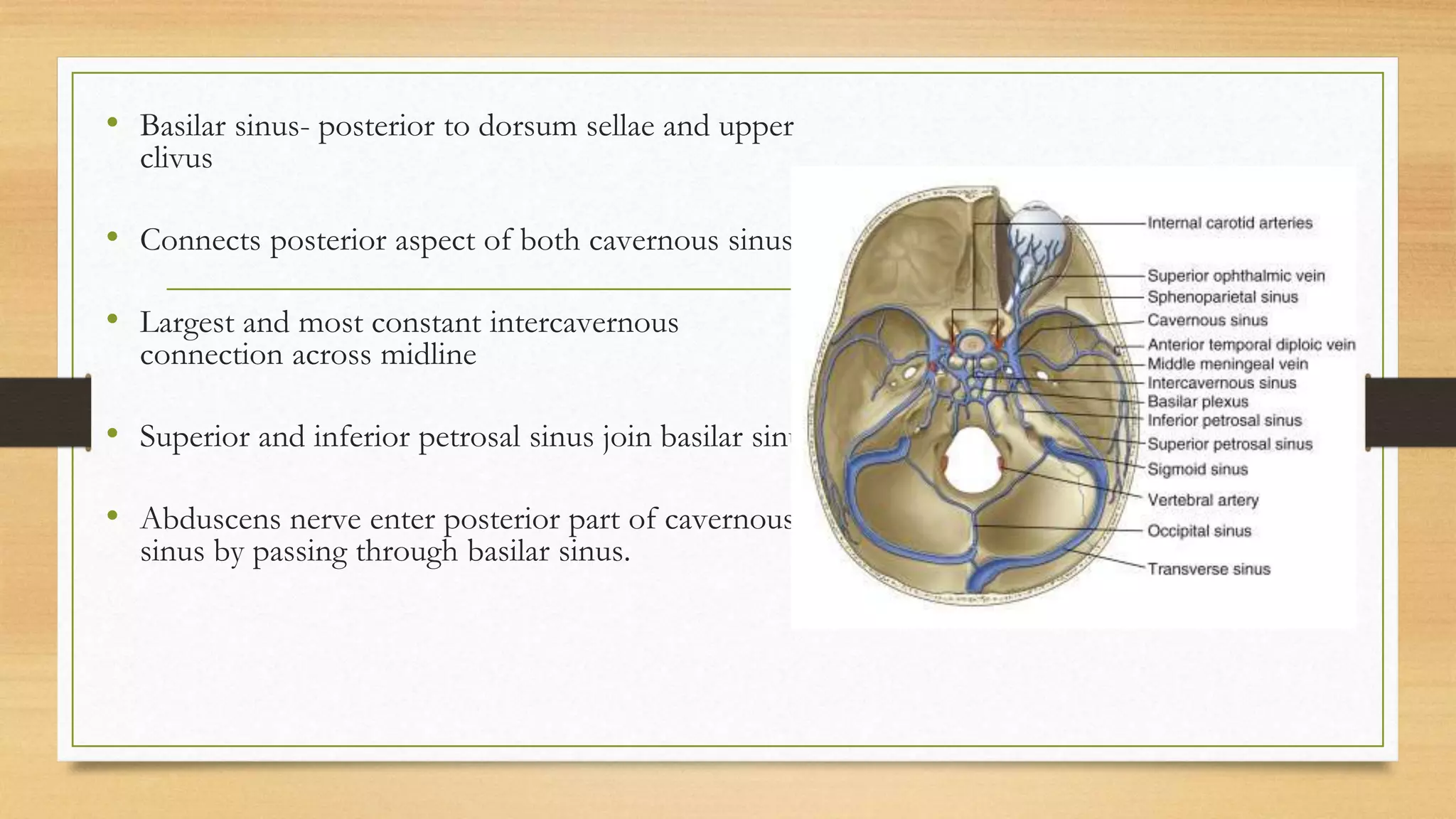 Anatomy of sellar suprasellar region | PPTX