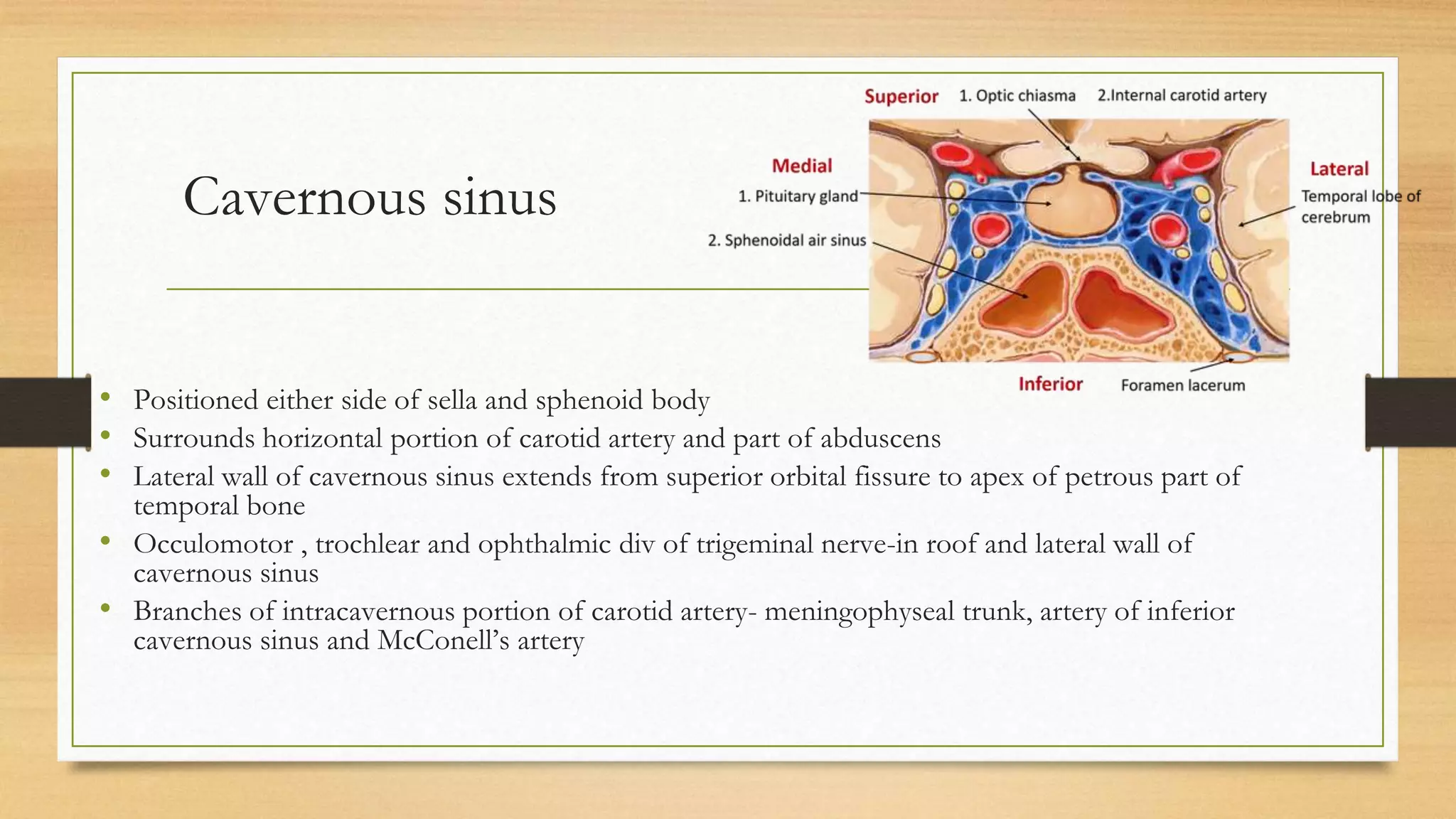 Anatomy of sellar suprasellar region | PPTX
