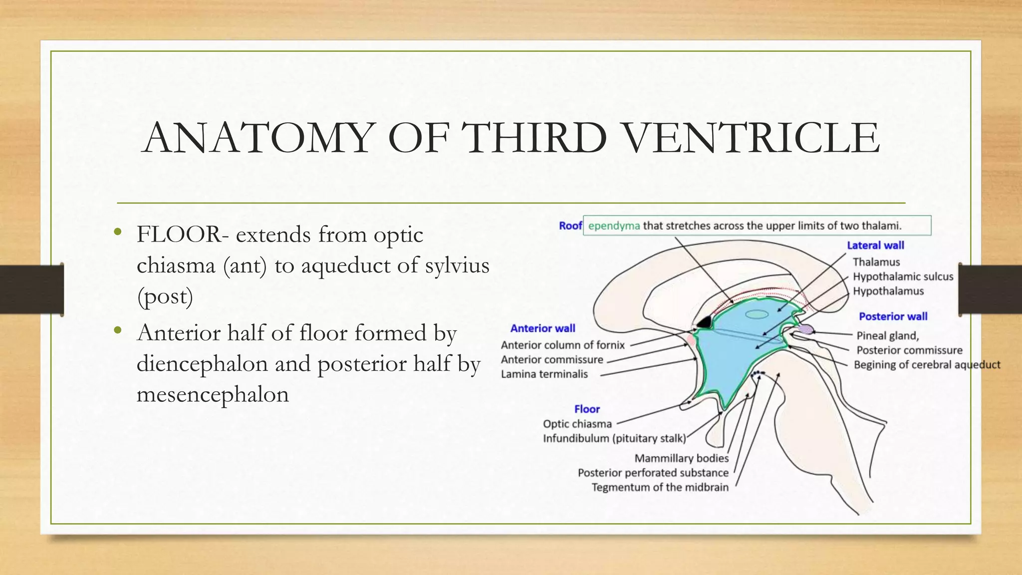 Anatomy of sellar suprasellar region | PPTX