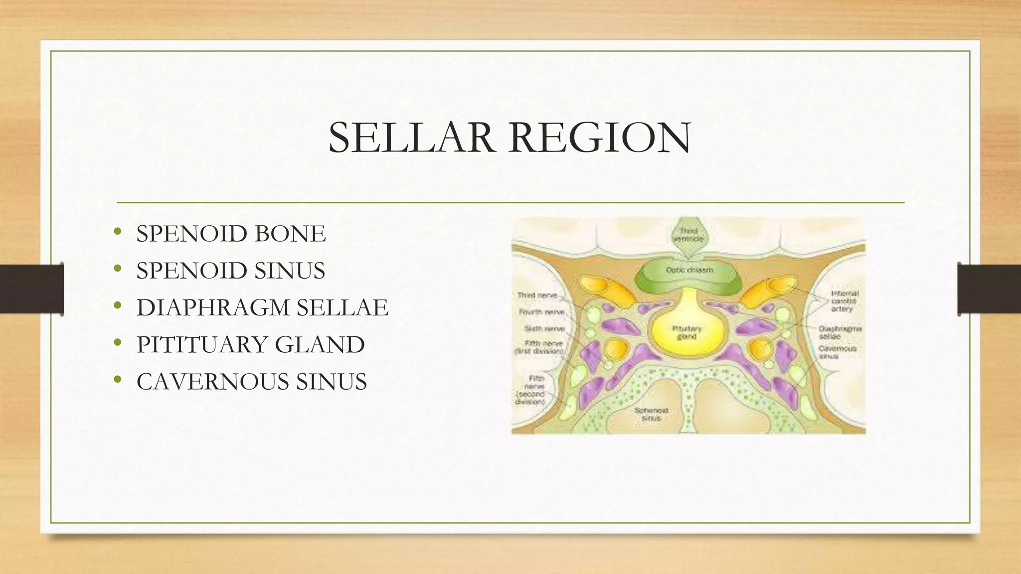 Anatomy of sellar suprasellar region | PPTX