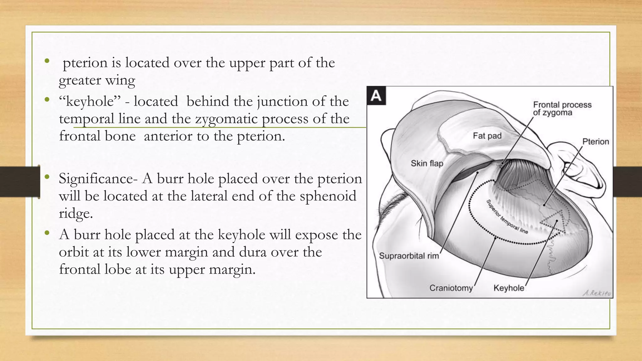 Anatomy of sellar suprasellar region | PPTX