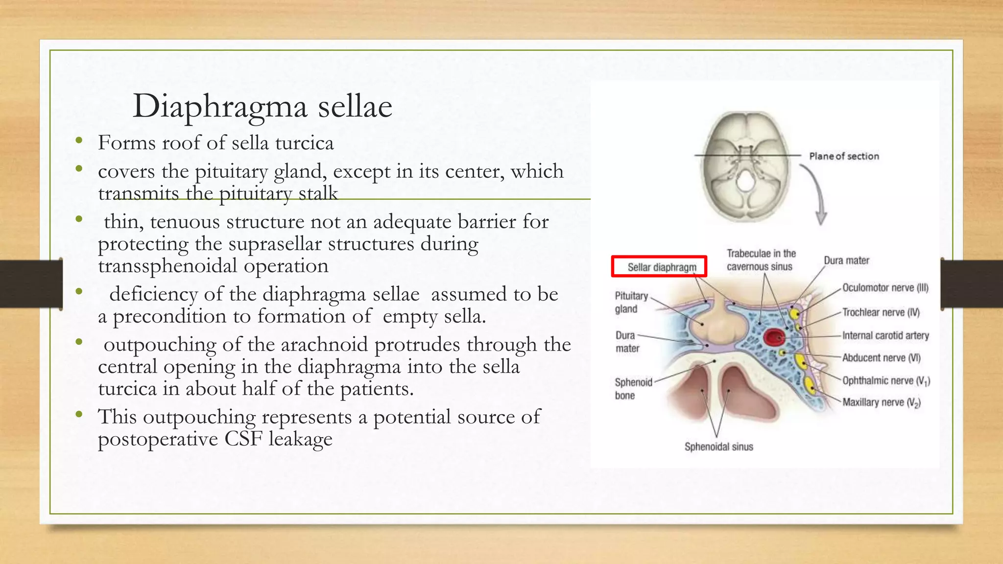 Anatomy of sellar suprasellar region | PPTX