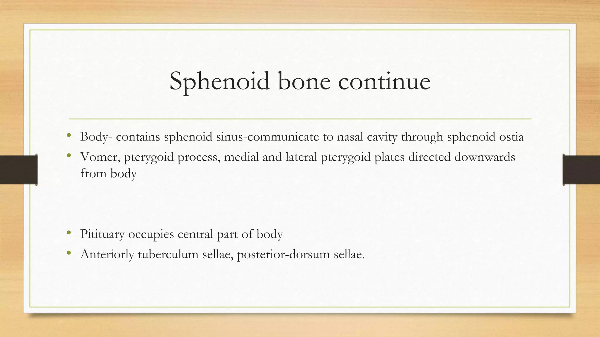Anatomy of sellar suprasellar region
