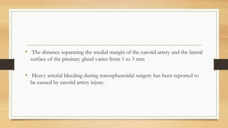 Anatomy of sellar suprasellar region | PPTX