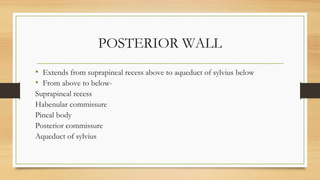 Anatomy of sellar suprasellar region | PPTX