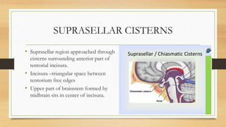 Anatomy of sellar suprasellar region | PPTX