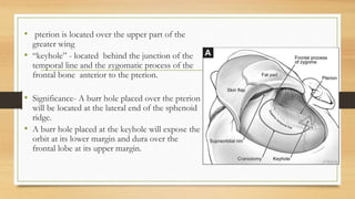 Anatomy of sellar suprasellar region | PPTX
