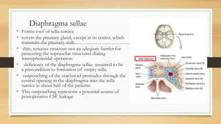 Anatomy of sellar suprasellar region | PPTX