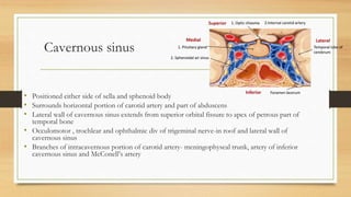 Anatomy of sellar suprasellar region | PPT