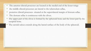 Anatomy of sellar suprasellar region | PPT