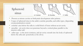 Anatomy of sellar suprasellar region | PPT