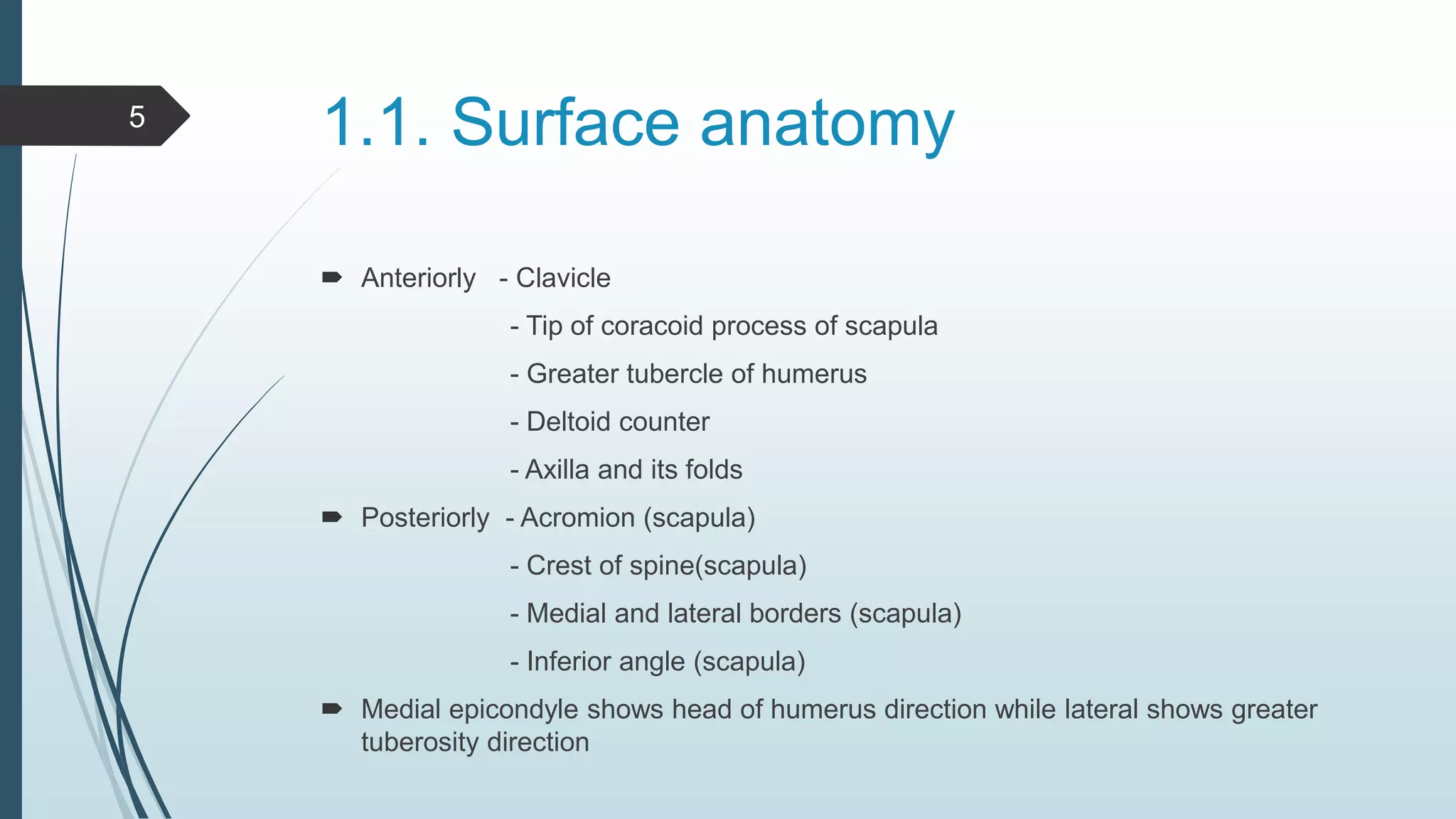 Anatomy of shoulder | PPTX