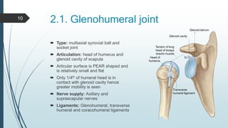 Anatomy of shoulder | PPTX