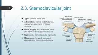 Anatomy of shoulder | PPTX