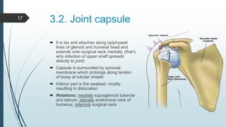 Anatomy of shoulder | PPTX
