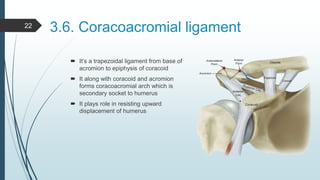 Anatomy of shoulder | PPTX