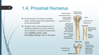 Anatomy of shoulder | PPTX