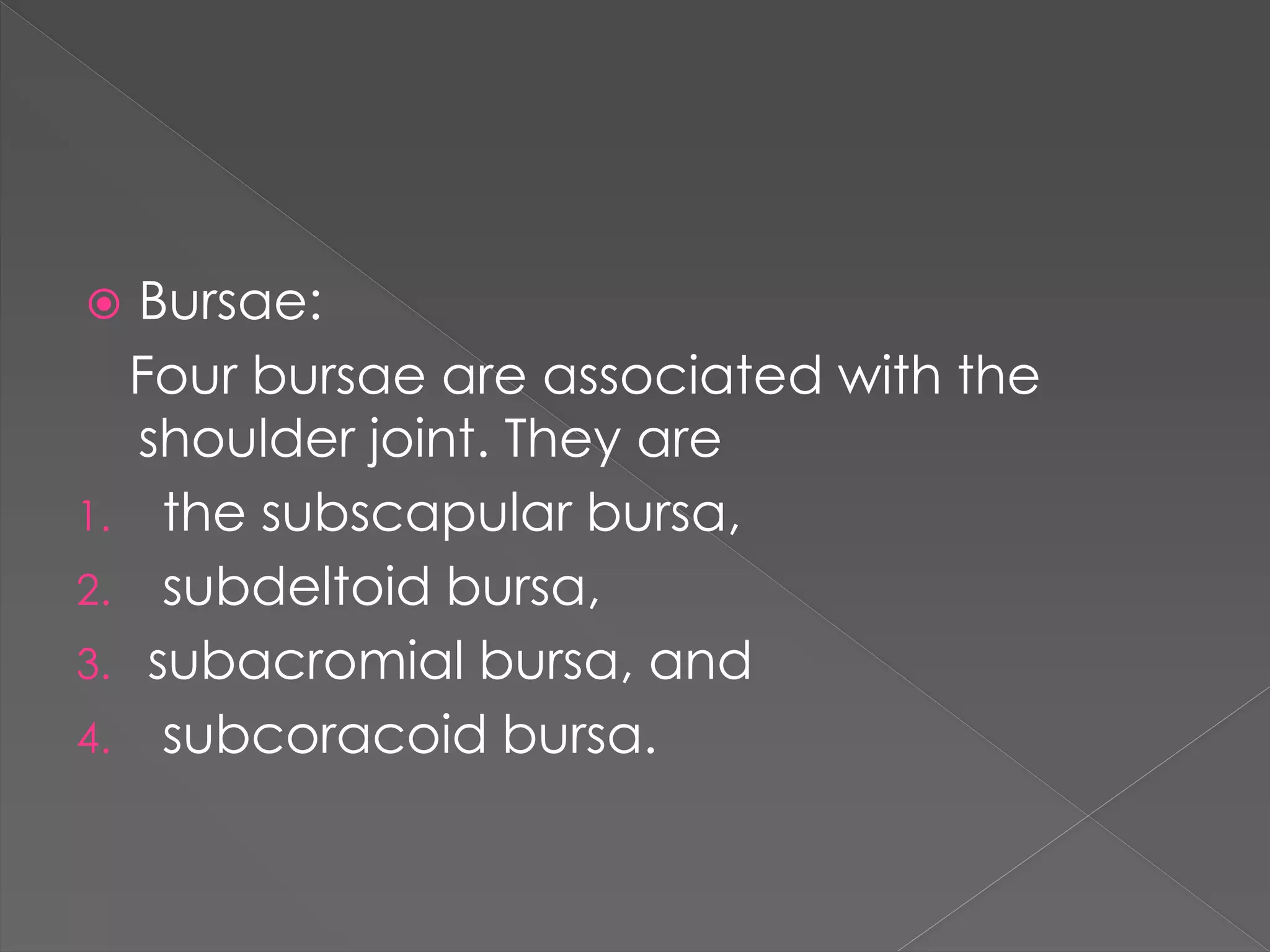 Anatomy of shoulder joint | PDF