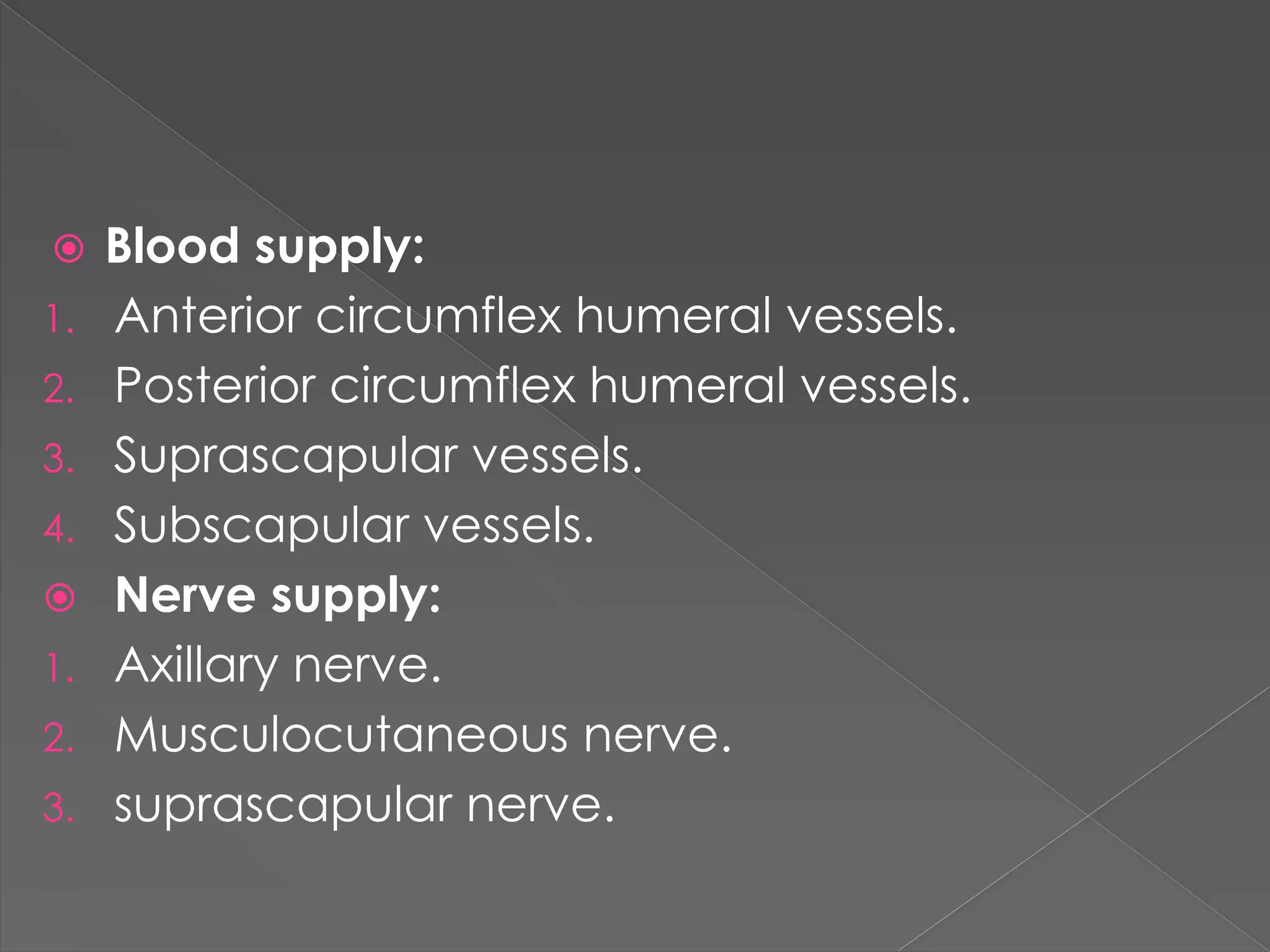 Anatomy of shoulder joint | PPT