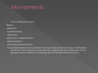 Anatomy of shoulder joint | PDF