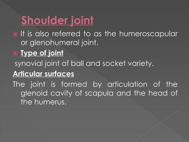 Anatomy of shoulder joint | PDF