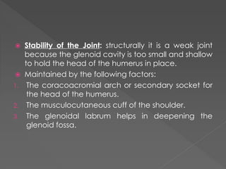 Anatomy of shoulder joint | PDF