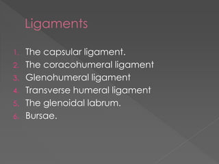 Anatomy of shoulder joint | PDF