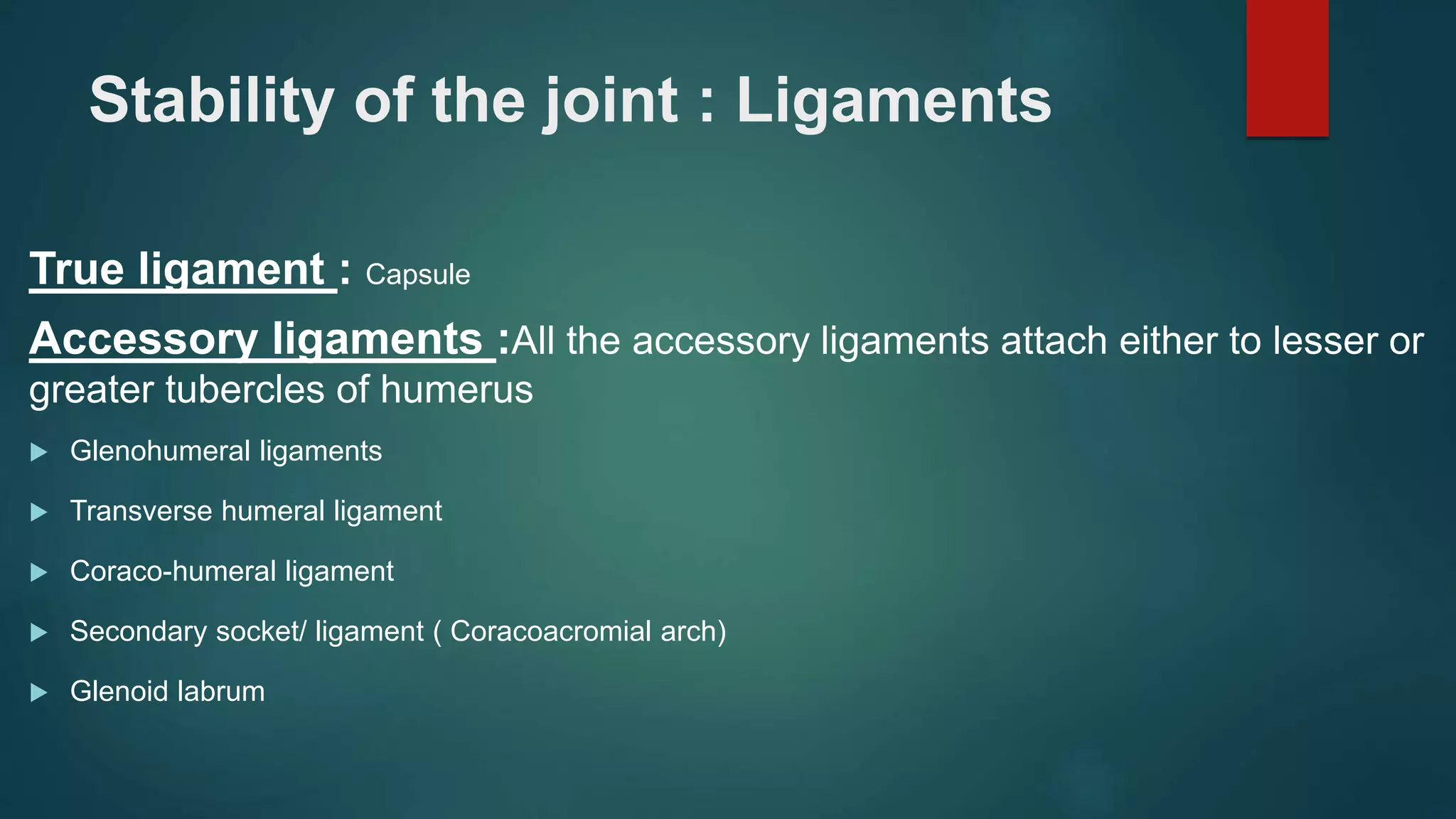 Anatomy of shoulder joint | PPTX