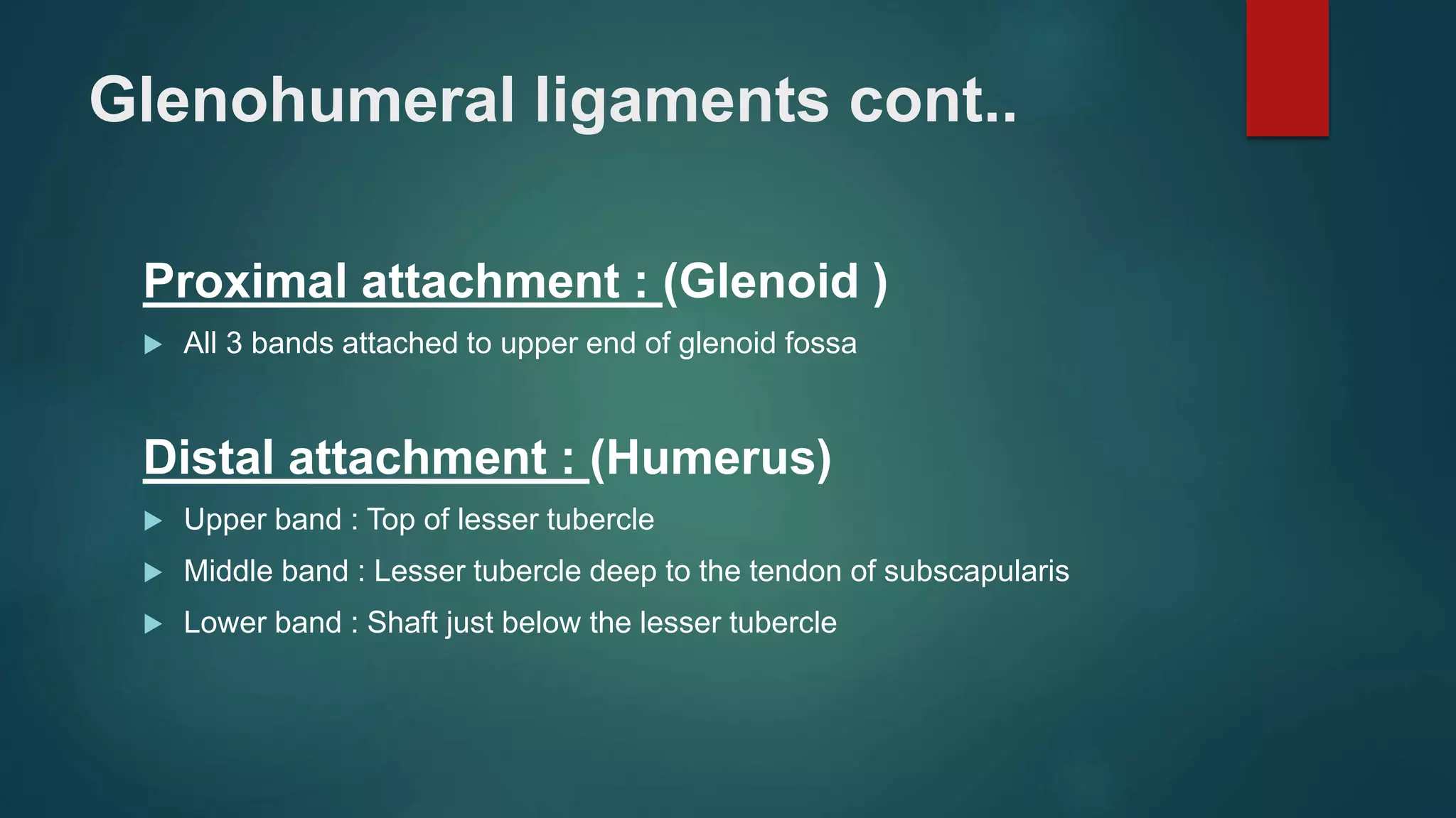 Anatomy of shoulder joint | PPTX