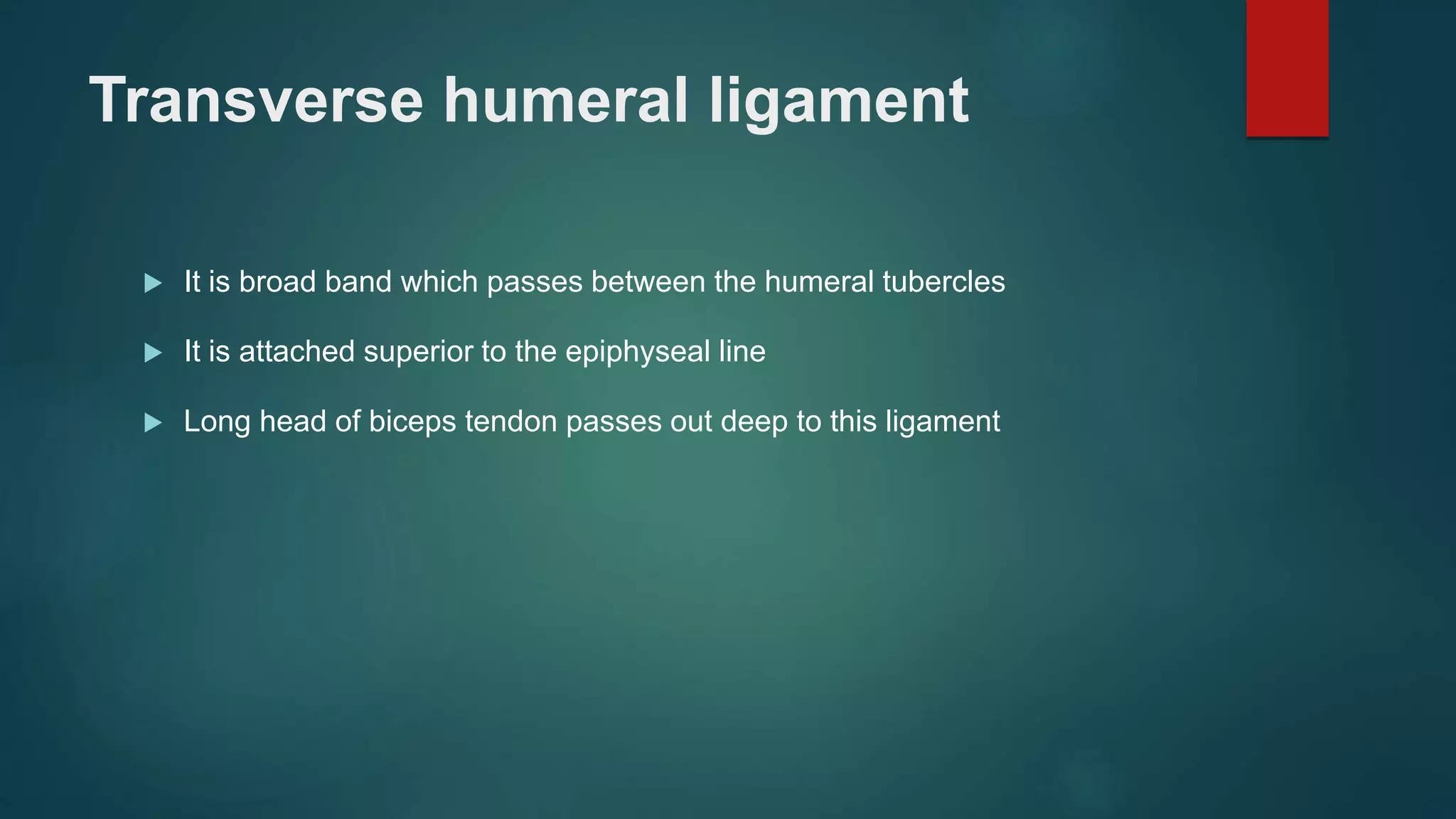 Anatomy of shoulder joint | PPTX