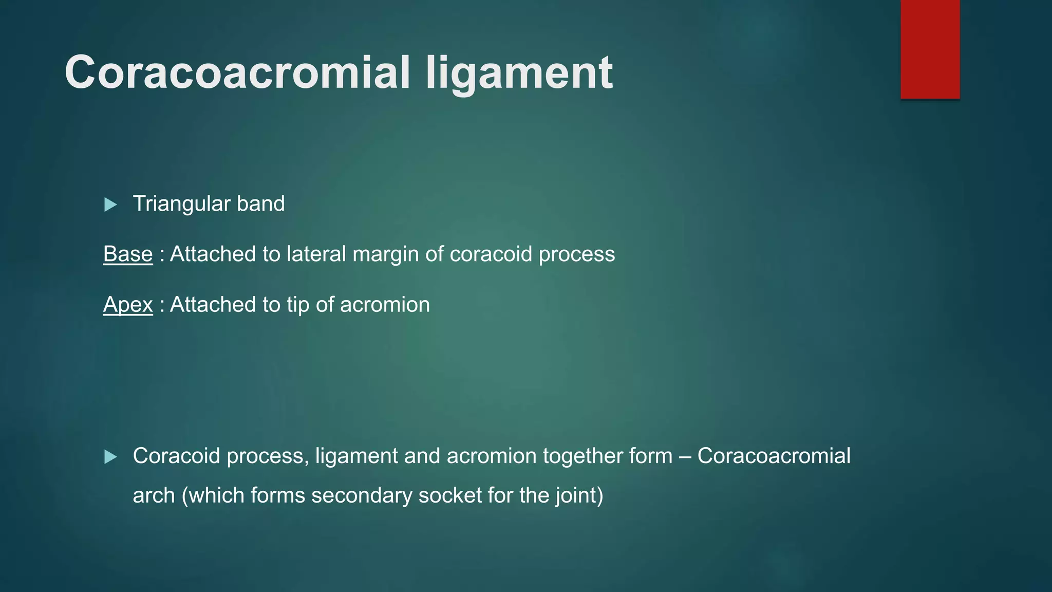 Anatomy of shoulder joint | PPTX