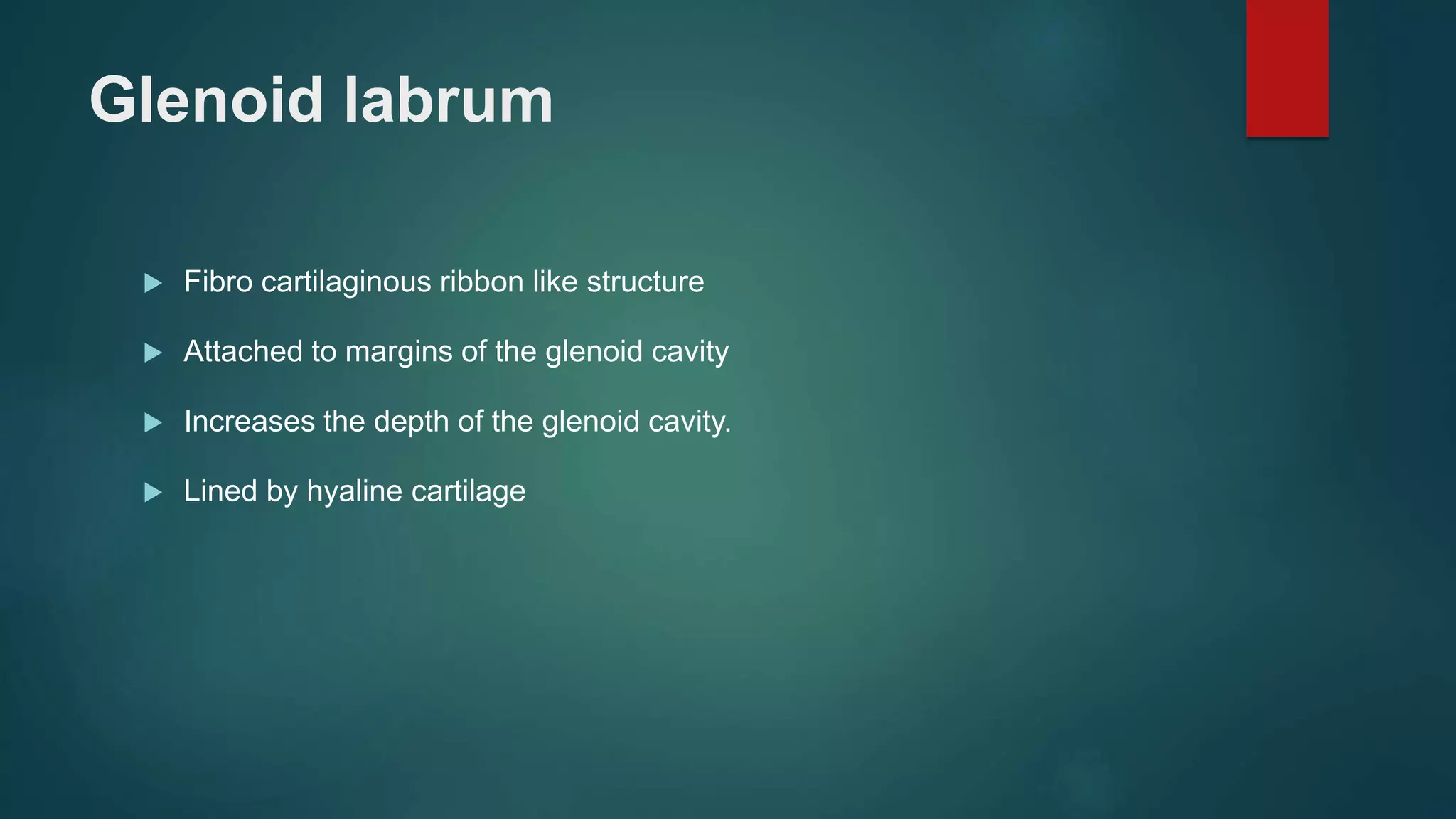 Anatomy of shoulder joint | PPTX