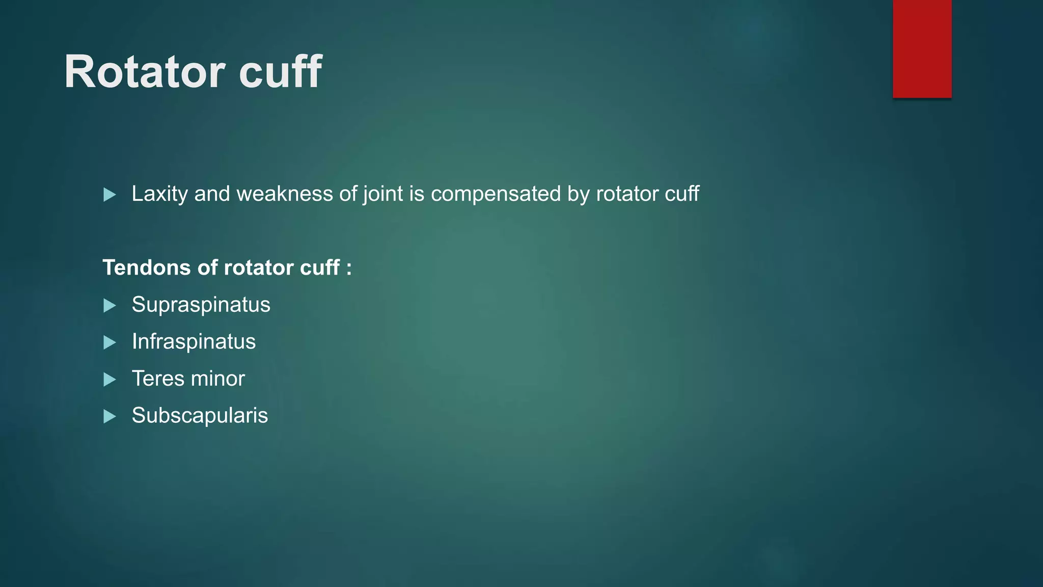 Anatomy of shoulder joint | PPTX