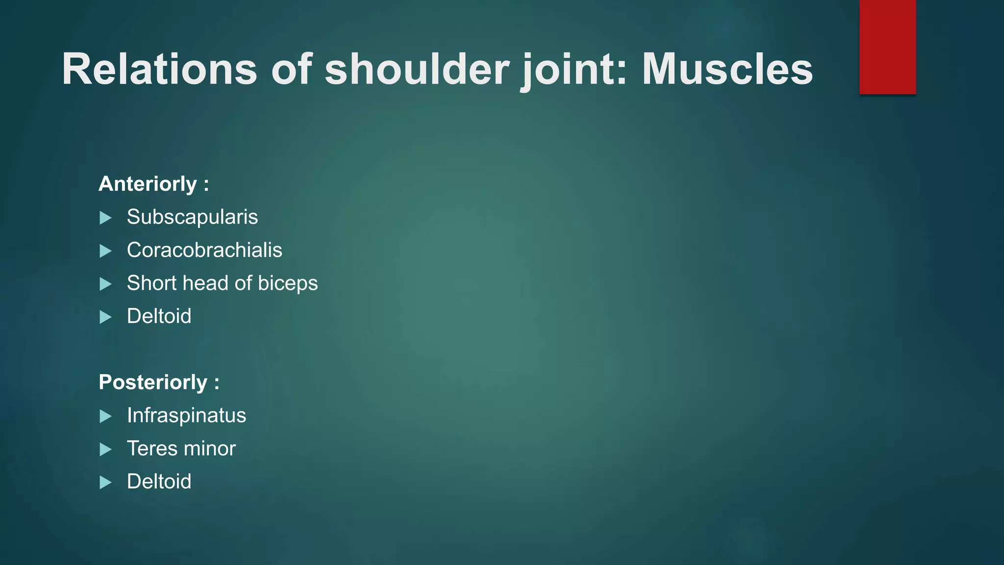 Anatomy of shoulder joint | PPTX