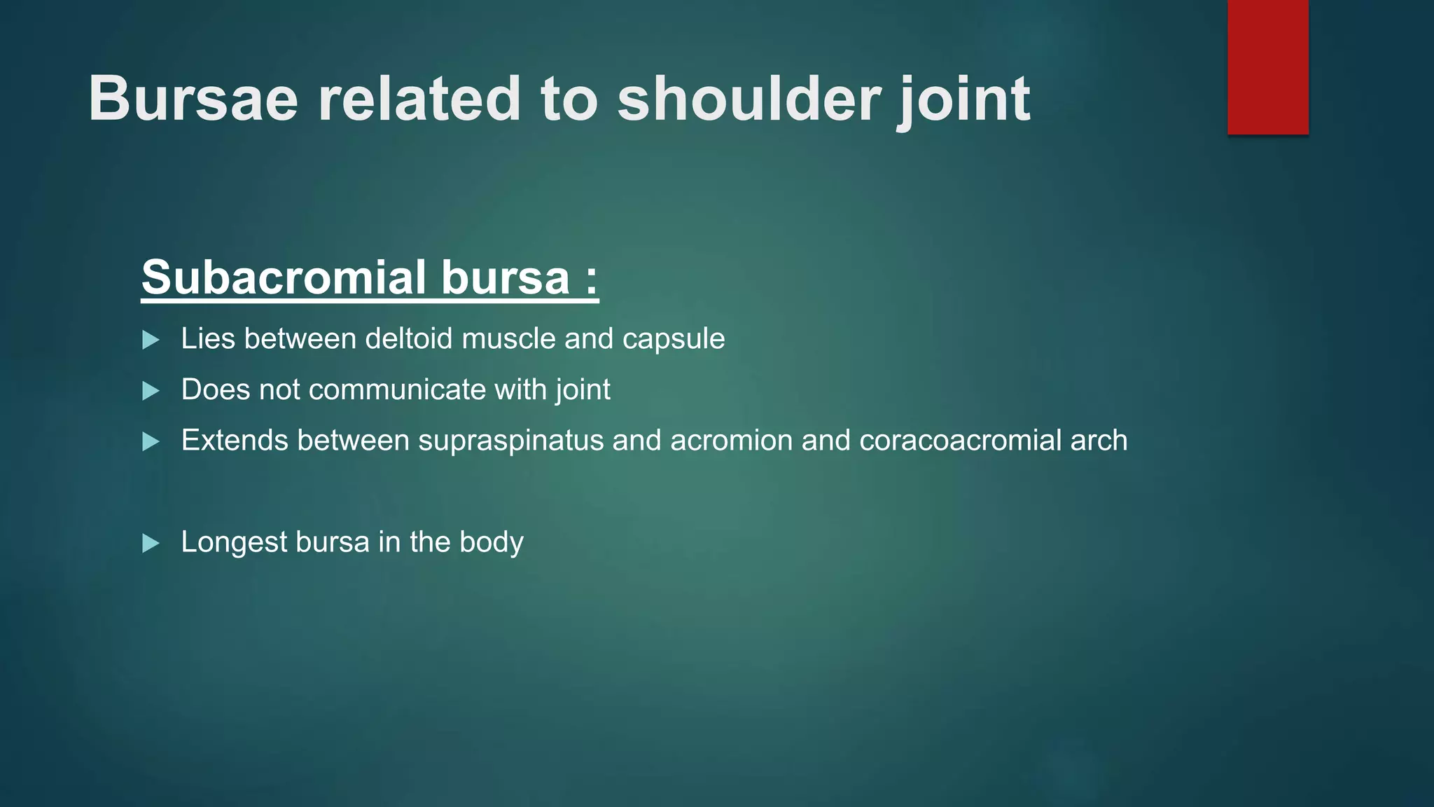Anatomy of shoulder joint | PPTX