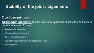 Anatomy of shoulder joint | PPTX