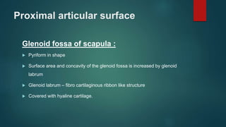Anatomy of shoulder joint | PPTX