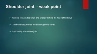 Anatomy of shoulder joint | PPTX