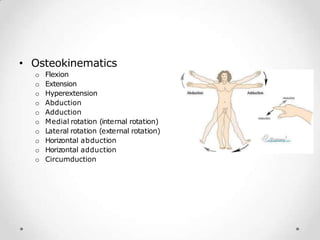 anatomy of shoulder joint .pptx muscle anatomy | PPT