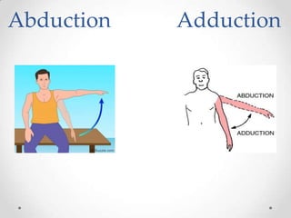 anatomy of shoulder joint .pptx muscle anatomy | PPT