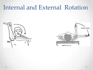 anatomy of shoulder joint .pptx muscle anatomy | PPT