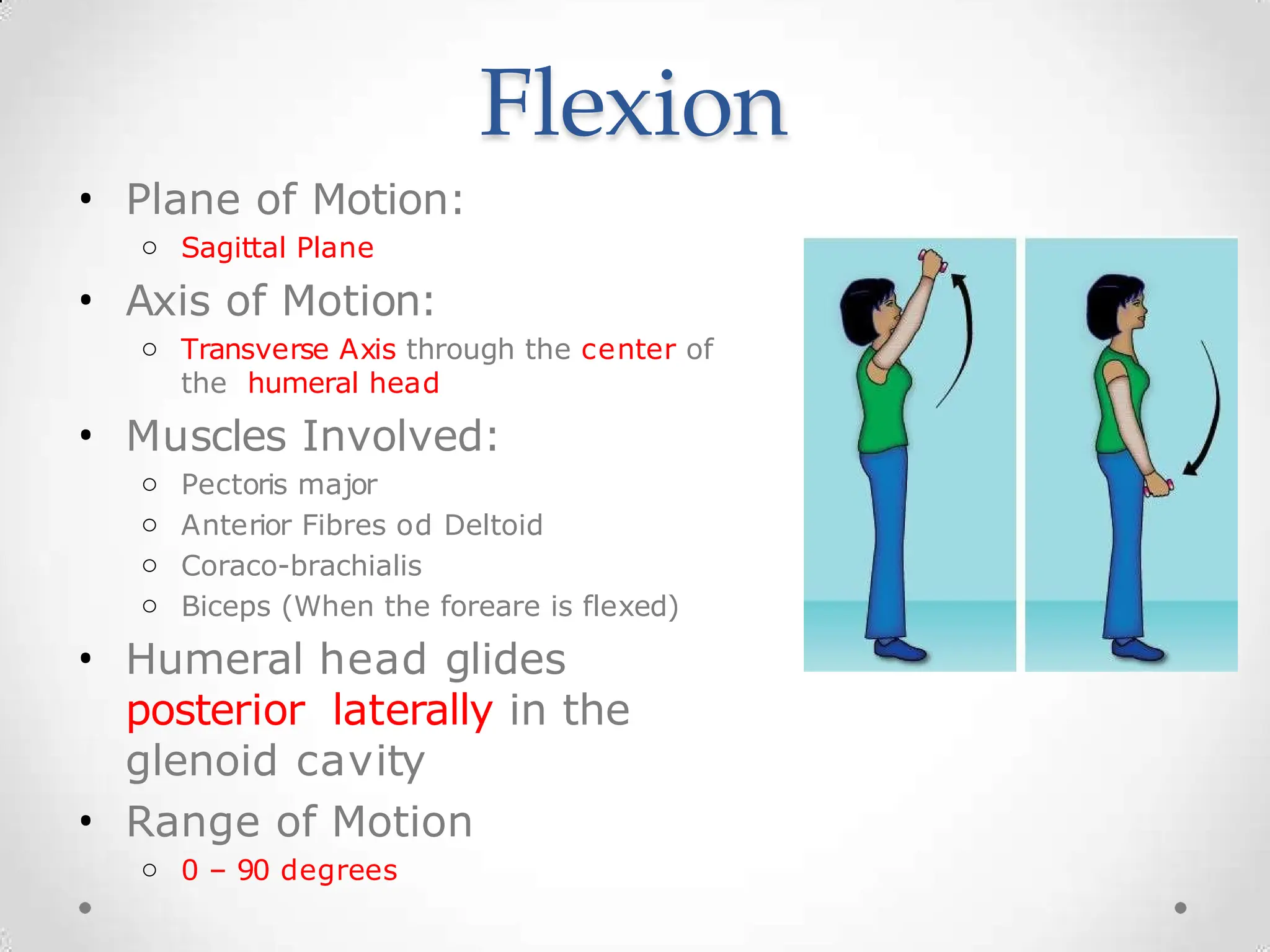 anatomy_of_shoulder_joint presentation.pptx | Free Download