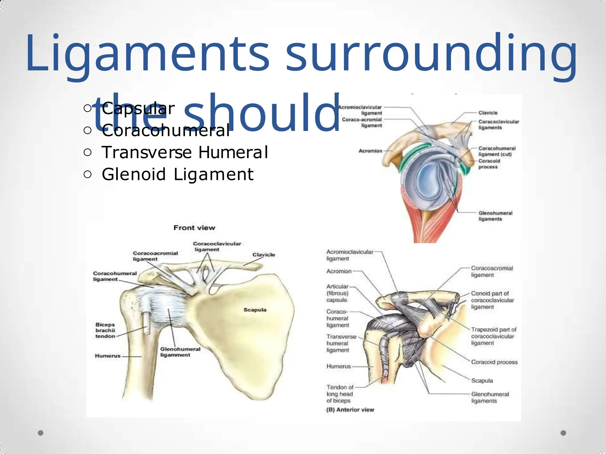 anatomy_of_shoulder_joint presentation.pptx