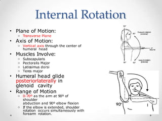 anatomy_of_shoulder_joint presentation.pptx
