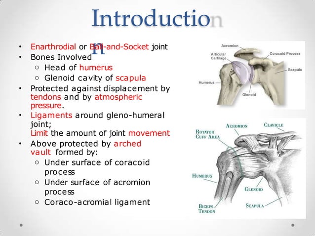 anatomy_of_shoulder_joint presentation.pptx