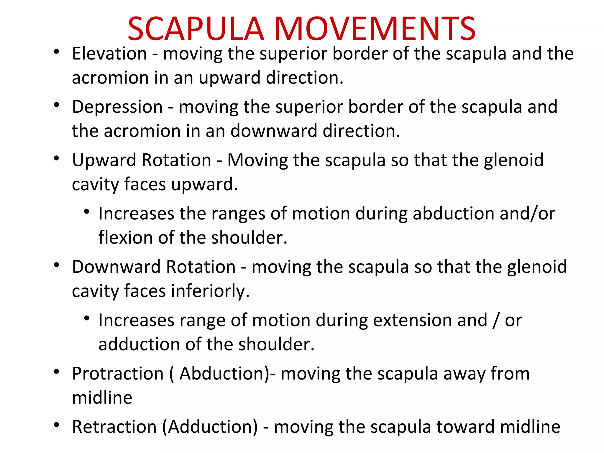 Anatomy of shoulder joint - vamshi kiran | PPT