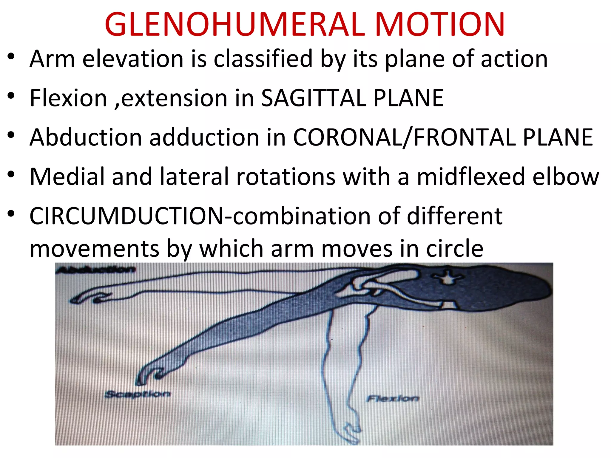 Anatomy of shoulder joint - vamshi kiran | PPT