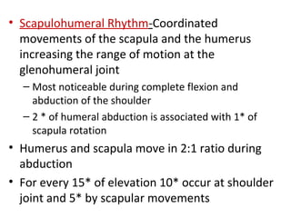 Anatomy of shoulder joint - vamshi kiran | PPT