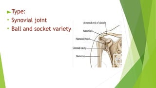 ANATOMY OF SHOULDER JOINT AND ITS EXAMINATION.pptx